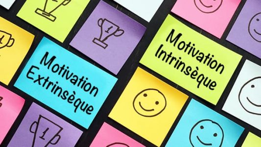 Motivation intrinsèque, motivation extrinsèque - Prium Transition